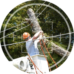 Powerline Restoration Emergency Response | Power Delivery Alliance